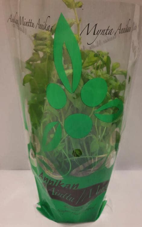 Annikan Minttu Ruukku S Kaupat Ruoan Verkkokauppa