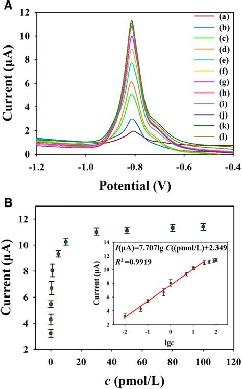 snp based electrochemical sensor for target dna a typical dpv