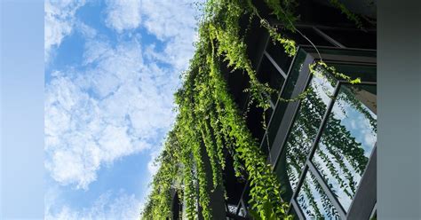 Doe Announces National Definition Of A Zero Emissions Building Pro Builder