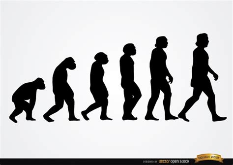 Clipart Evolution 19 Free Cliparts Download Images On Clipground 2025