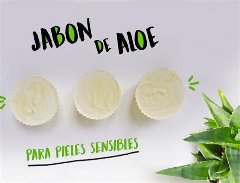 Cómo Hacer Jabón De Aloe Vera Con Sosa Paso A Paso Ecologia Cotidiana