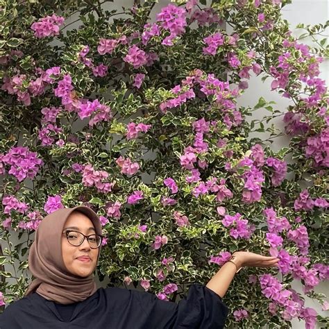 Fenta Prameswari Medium