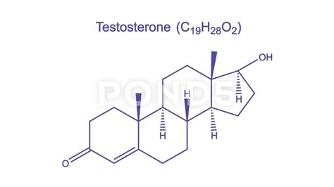 Testosterone Molecule