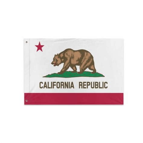 California Republic State Flag California State Flags Double Sided 4x6