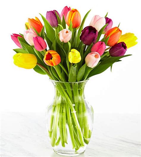 Rush Of Colour Assorted Tulip Bouquet Flower Company