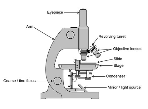 Condenser Turret Microscope At Charles Lindquist Blog
