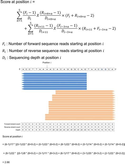 In Vitro Dna Cleavage Scoring System For Digenome Seq Analysis Of Abe