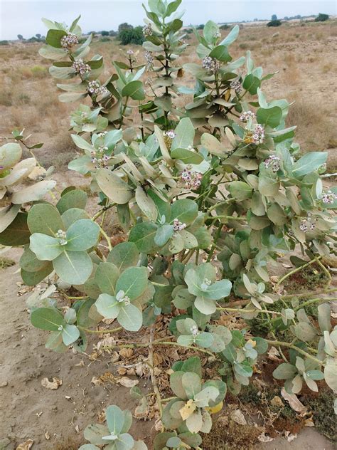 То Gerrn Бесплатное фото на Pixabay Pixabay