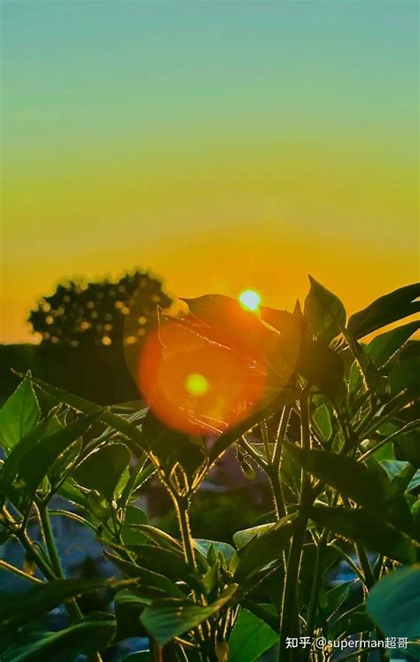 Opengauss学习笔记 70 Opengauss 数据库管理 创建和管理普通表 查看表数据 知乎