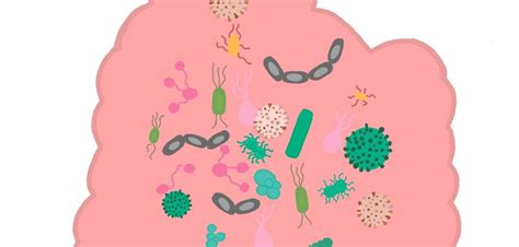 Quest Ce Que Le Microbiote My Food My Future