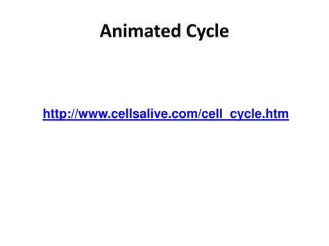 Ppt The Cell Cycle And Cell Division Powerpoint Presentation Free Download Id 6854294