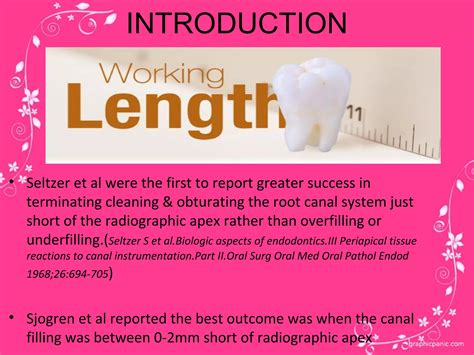 Working Length Determination Ppt Dental Health Diseases And Conditions