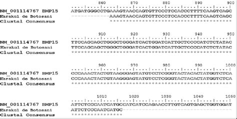 Bioedit Alignment Between A Reference Sequence Genbank Database