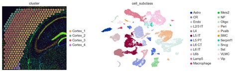 Spatial Mapping With Tangram — Scvi Tools