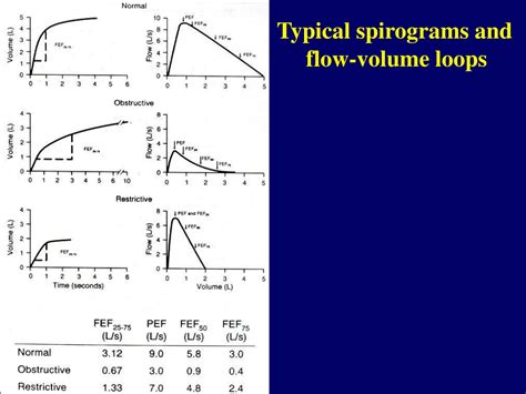 Ppt Spirometry And Ventilatory Disorders A Comprehensive Guide
