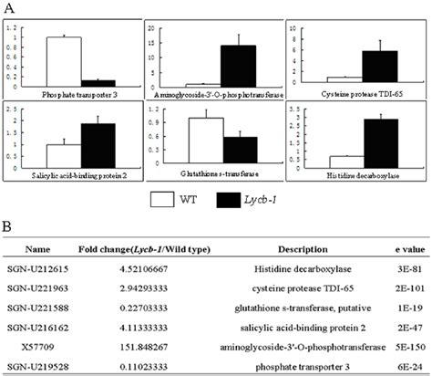 Verification Of Microarray Results By Real Time Quantitative Rt Pcr