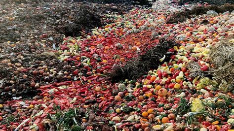 Día Contra El Desperdicio De Alimentos Limpieza De Málaga