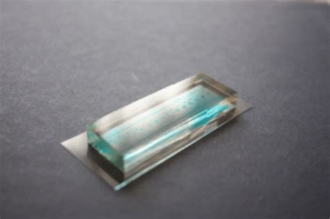 Microfluidic Device Containing 14 Habitats On An Elastomer Pdms Layer