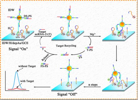 High Efficiency 3d Dna Walker Immobilized By A Dna Tetrahedral