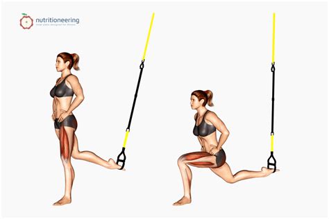Bulgarian Split Squats
