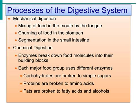 Digestive System And Disorders Pptx