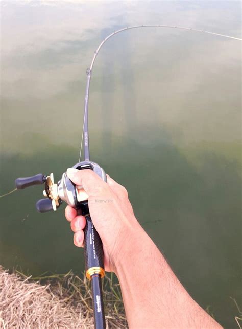 Bait Casting Reel