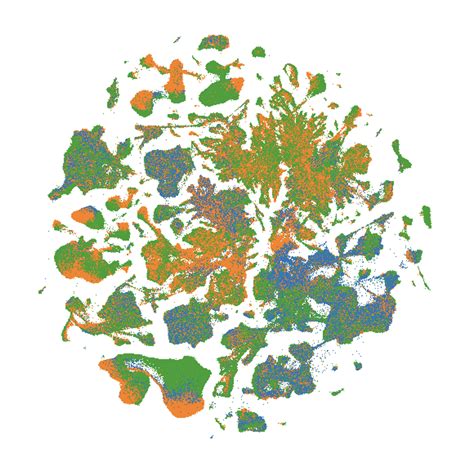 Whole Mouse Brain Consensus