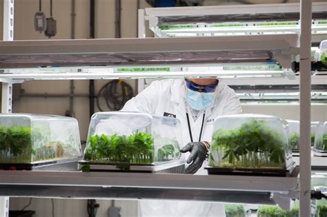 Pro Oxine® Horticulture Growhaus Usa