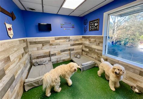 Dog Hotel Online