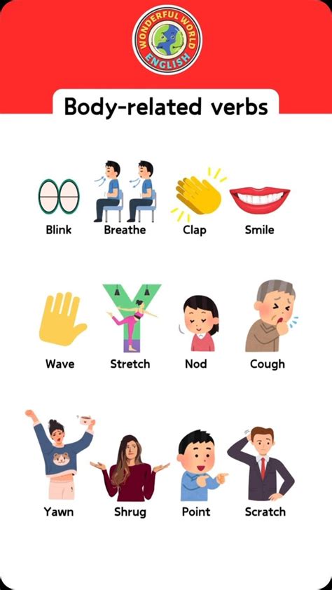 Body Movement Verbs In English With Urdu Meanings English Vocabulary