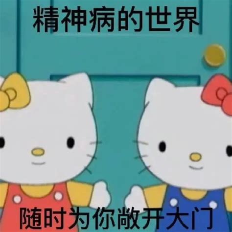 《精神病的世界》两只凯蒂猫，随时为你敞开大门 都是沙雕表情包表情包图片动图 求表情网斗图从此不求人