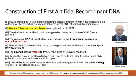 Biotechnology Principles And Processes Class Xii Chapter 11 Pptx Biological Sciences Science
