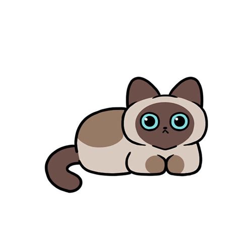 喵小玉】手绘猫