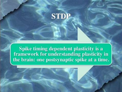 spike timing dependent plasticity