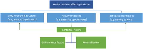 Icf Model As Applied To Conditions Affecting The Brain Adapted From Download Scientific