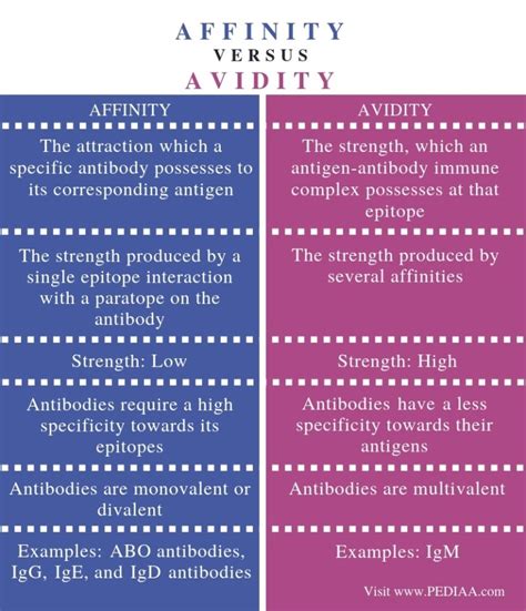 What Is The Difference Between Affinity And Avidity Pediaacom