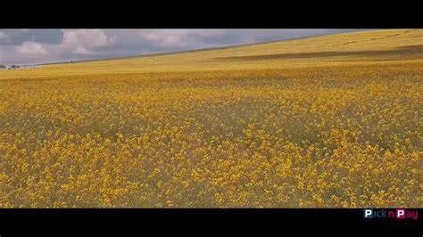 Dillon Lerm Musiek And Fanpage Home