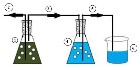 Schéma Descriptif Du Dispositif Expérimental De La Méthanisation 1 Download Scientific