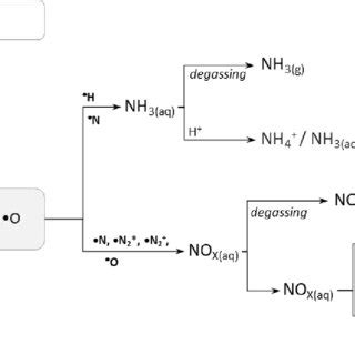 Pathways Of Nitrate And Ammonia Production Download Scientific Diagram