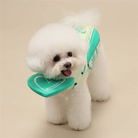 리토가토 스윙하트 강아지 구명조끼 그린 페오펫몰 리토가토 스윙하트 강아지 구명조끼 그린 페오펫몰