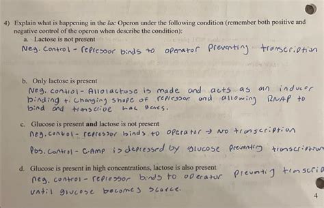 Solved Explain What Is Happening In Negative And Postive