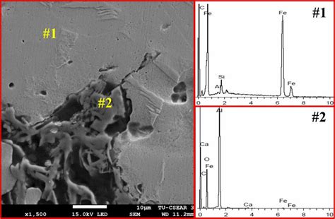 Sem Micrograph And Eds Spectra Of The Cross Sectioned Pellet Co 1