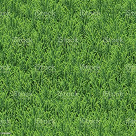 Green Grass Lawn Repeating Pattern Stock Illustration Download Image