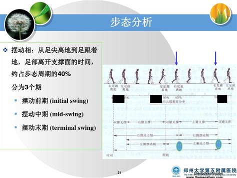 步态分析1word文档在线阅读与下载无忧文档