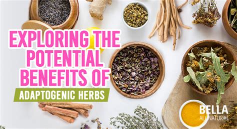 Guide Exploring The Potential Benefits Of Adaptogenic Herbs Bella