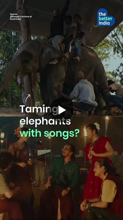 Holololo Cokestudiobharat Morancommunity Elephantwhispers