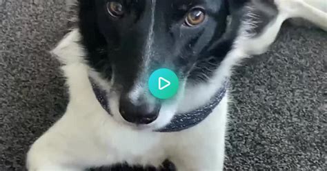 The Power Of Ruv Album On Imgur