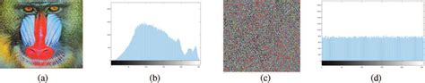 Histogram Analysis A Plaintext Image B Histogram Of Plaintext