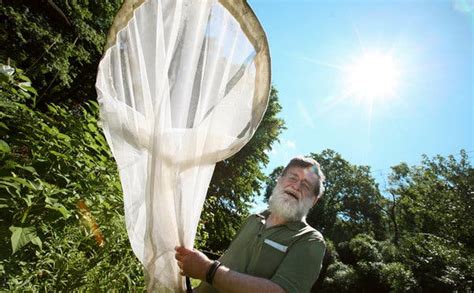 Its Complicated When Dragonfly Love Comes Calling The New York Times