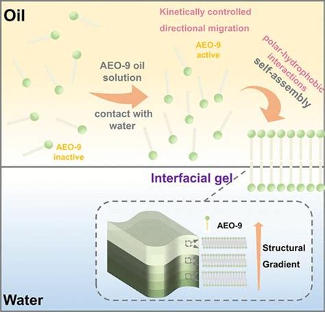 Self Assembly At Oilwater Interfaces Driven By Solubility Differences